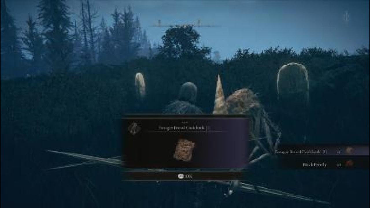 Elden Ring DLC - Forager Brood Cookbook [2] Location - YouTube