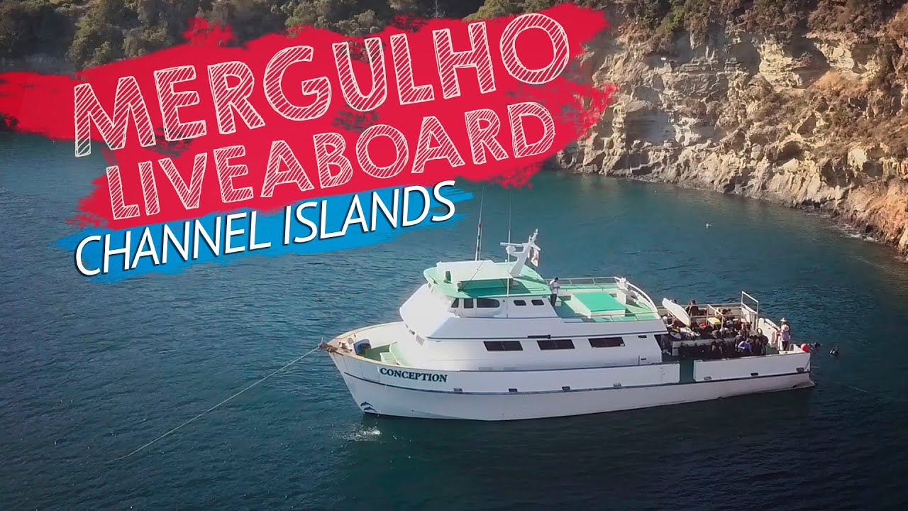 LIVE ABOARD TRUTH AQUATICS || Dive Boat Conception || California, EUA ...