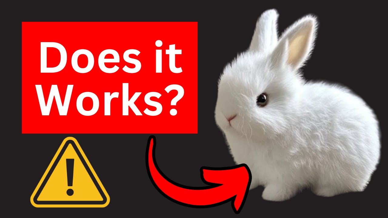 Fanyil BunnyPal Review : Is It Legit or SCAM? - YouTube