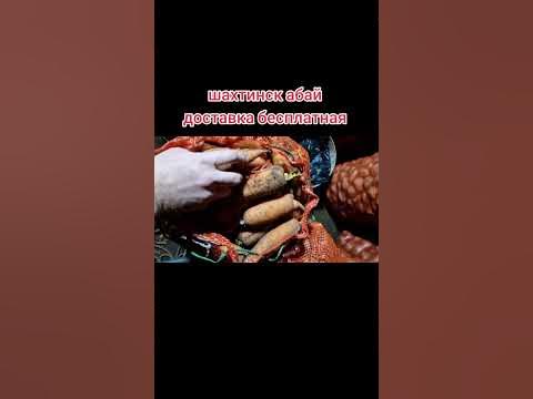 средняя морковь боливар - YouTube