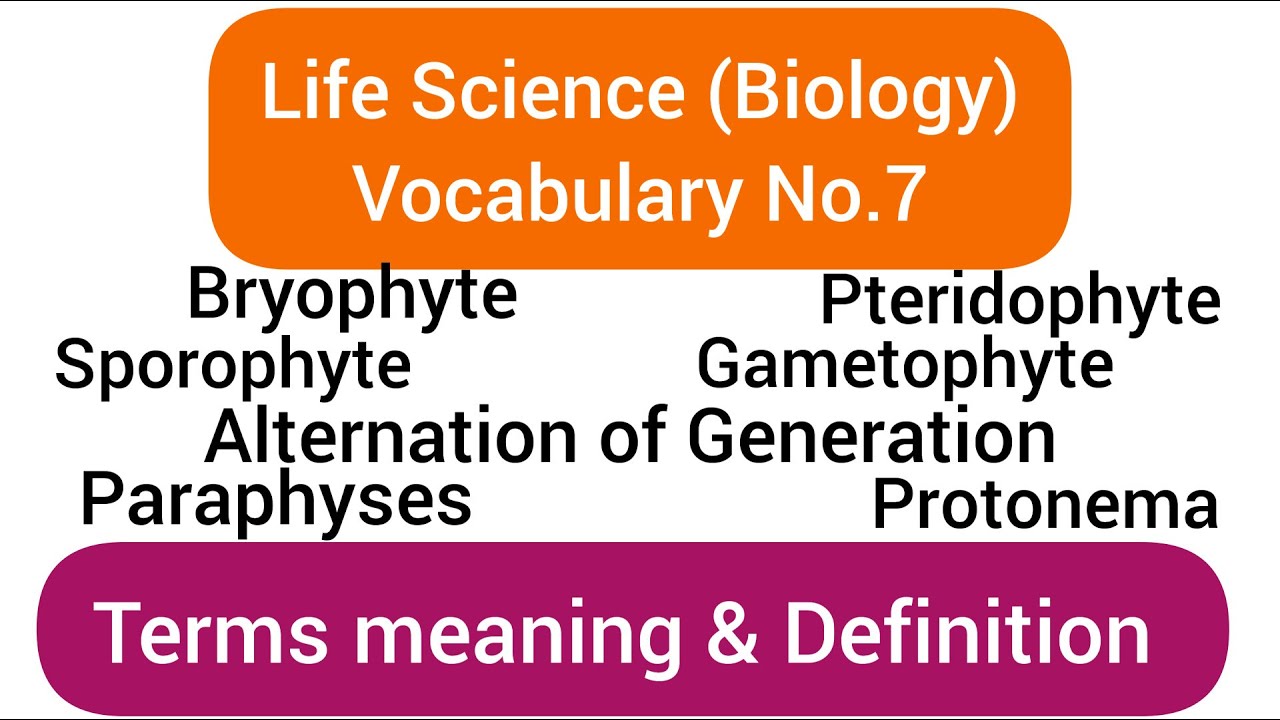 Biology vocabulary part 7| Life Science vocabulary|Medical terminology ...
