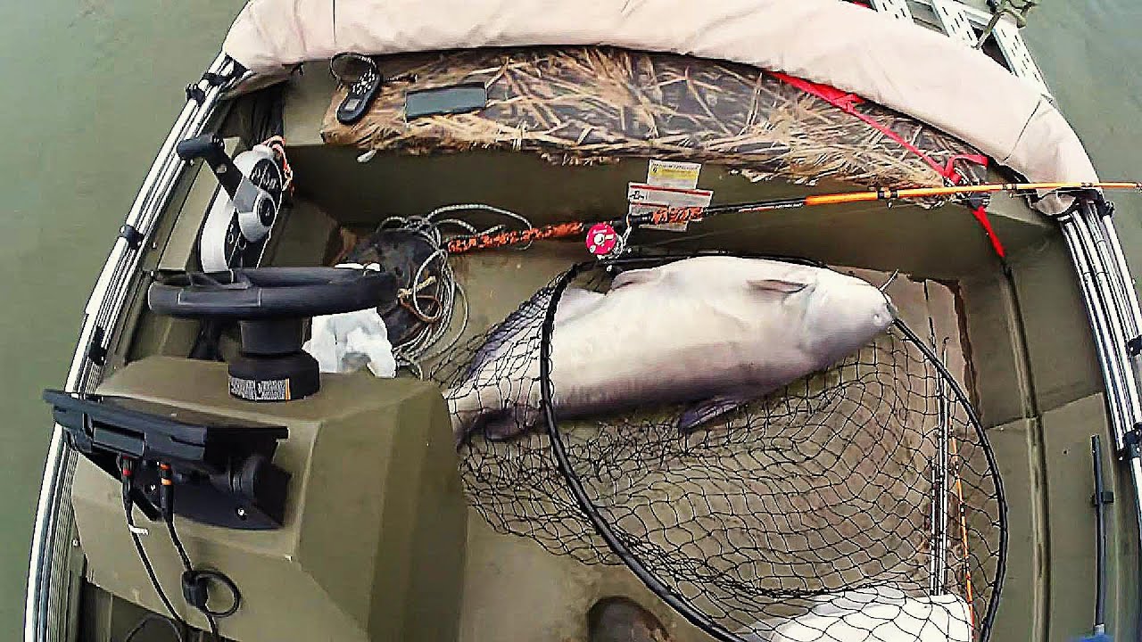 The Catfish that Broke a 110 lb scale. ( A Big Big Fish Caught ) - YouTube