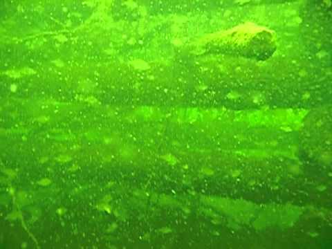 Crappie Crib Kids - YouTube