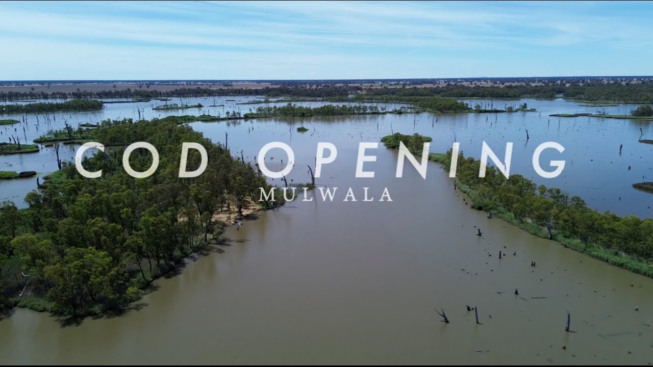 Cod Opening 2024 (Fishing Australia) - YouTube