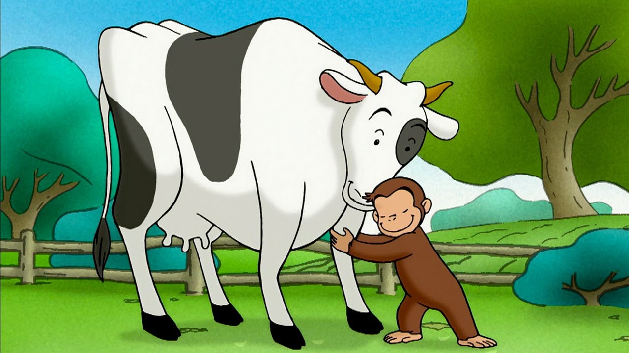 George Meets Some Hungry Cows 🐄 🐵 Curious George 🐵 Animal Friends - YouTube