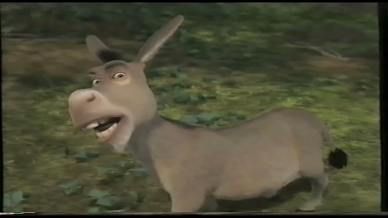 Shrek 2: Donkey (2004) (VHS Capture) (7) - YouTube