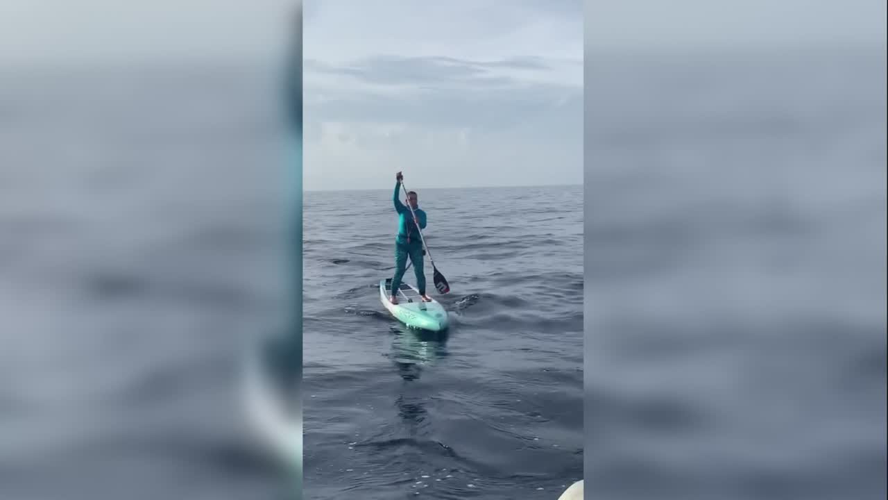 Woman paddleboarding has close encounter with hammerhead shark - YouTube