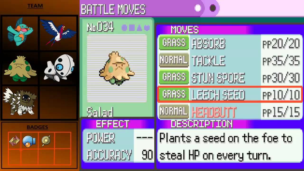 Lets Play Pokemon Emerald Part 10-The Winstrate's House! - YouTube