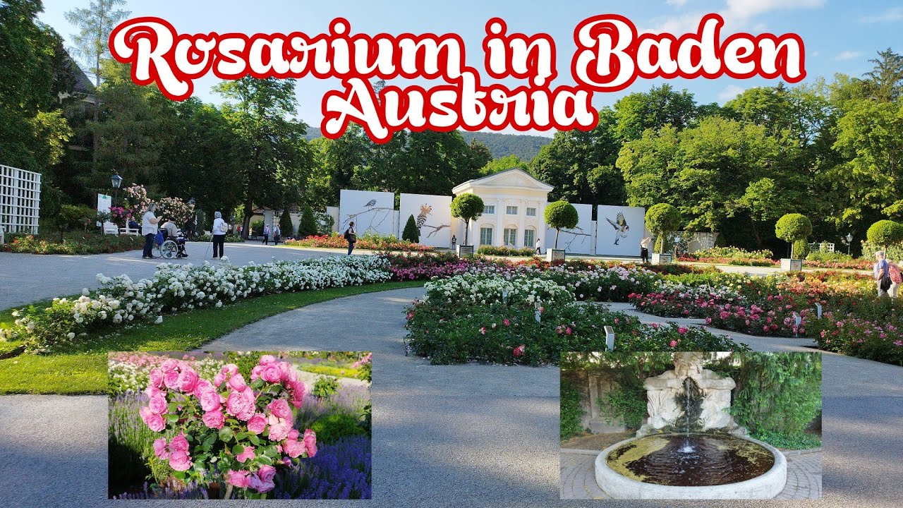 Rosarium/Baden Austria @mamibaimixvlog - YouTube