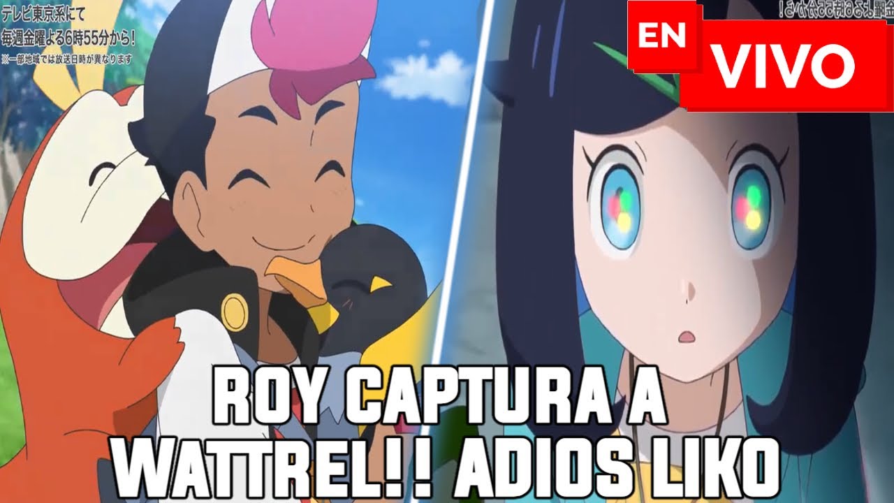ROY CAPTURA A WATTREL EN PALDEA Y LIKO SE ENTREGA POR COMPLETO A SU ...