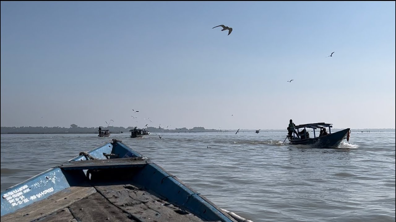Chilika Lake Morning View| Largest Lagoon & Asia’s largest saltwater ...