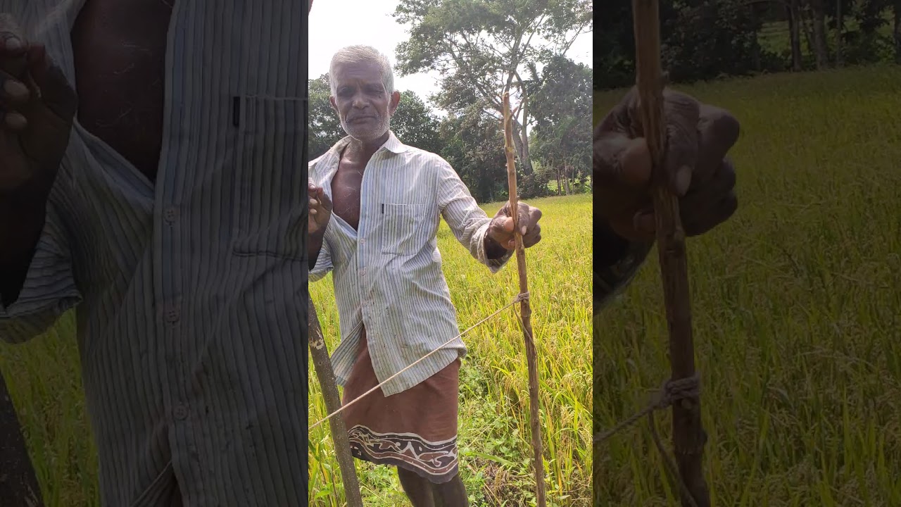 Takaya - ටකය - YouTube