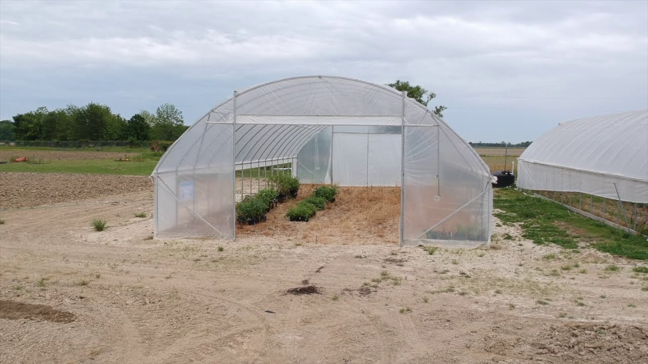 Alcorn Extension Service Mound Bayou, MS - YouTube