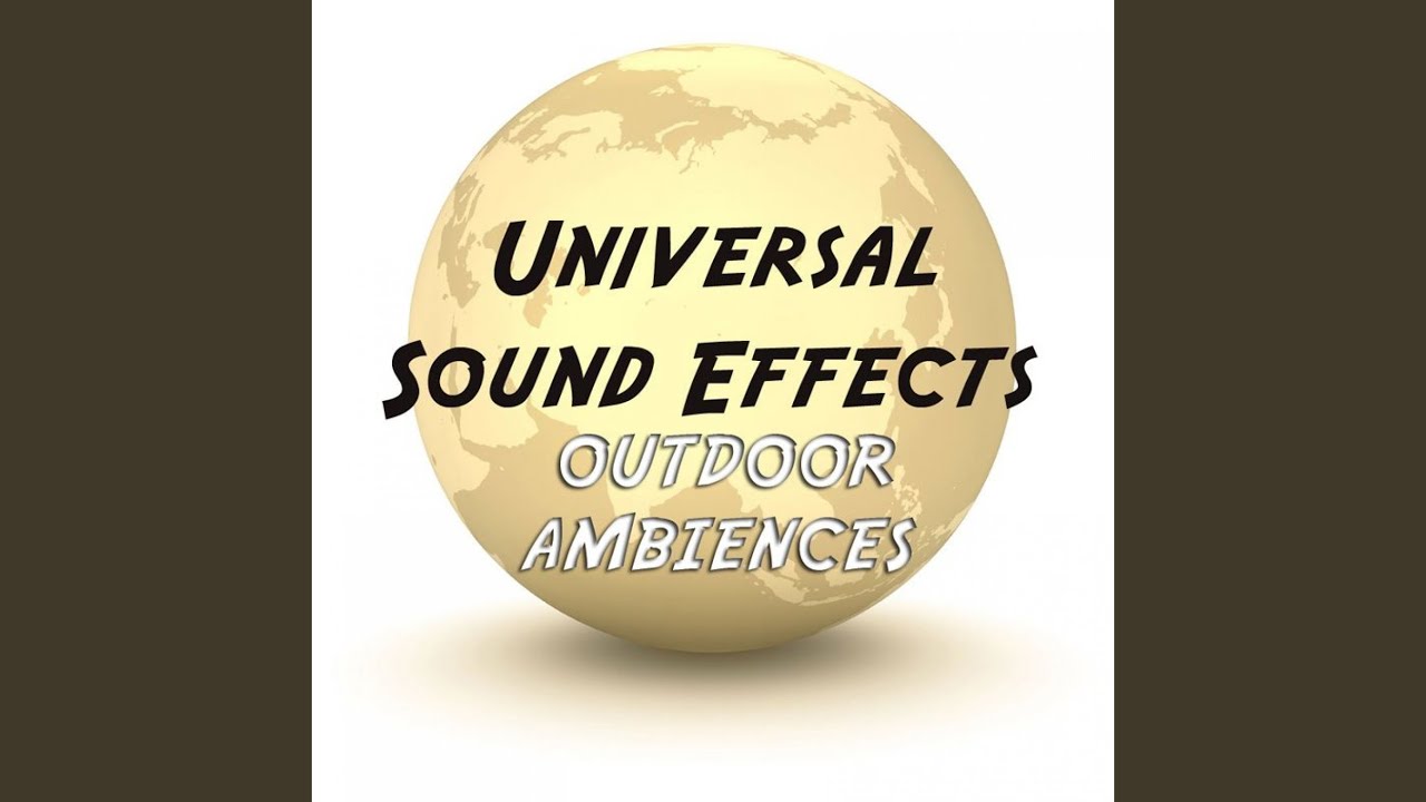 Ambience Supermarket Grocery Store Interior Sound Effects Sound Effect ...