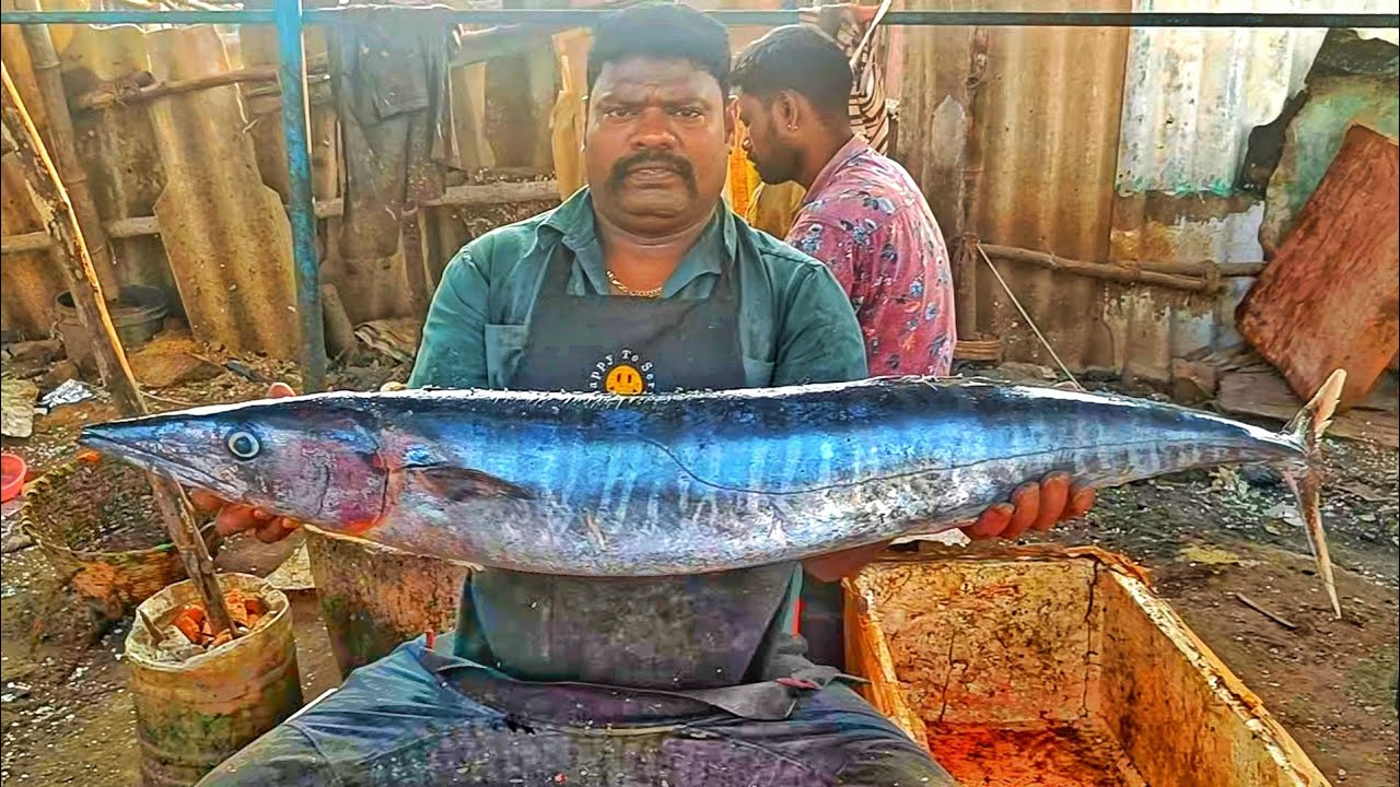 KASIMEDU SELVAM 🔥 BIG SIZE ARA KOLA FISH CUTTING||4K VIDEO ...