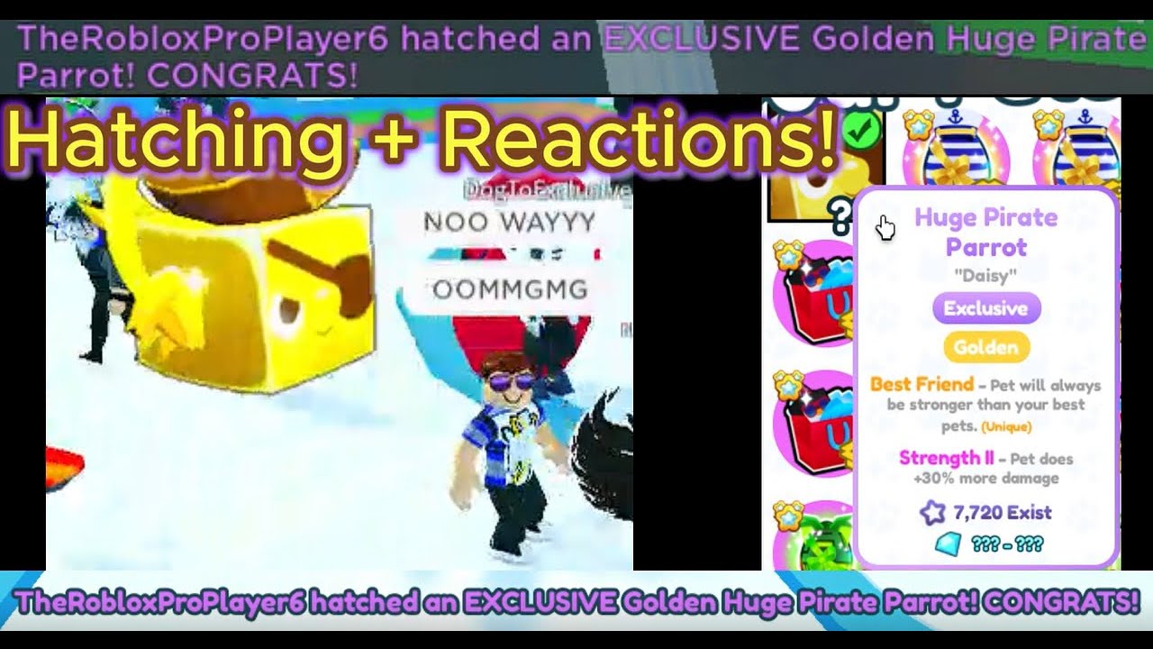 I hatched a Golden Huge Pirate Parrot! | Hatch + Reactions! | Roblox ...