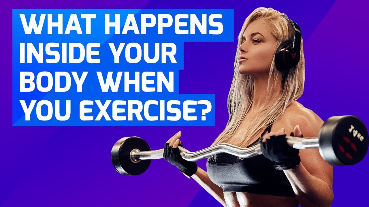What Happens To Your Body During Exercise || The Workout Facts You Must ...
