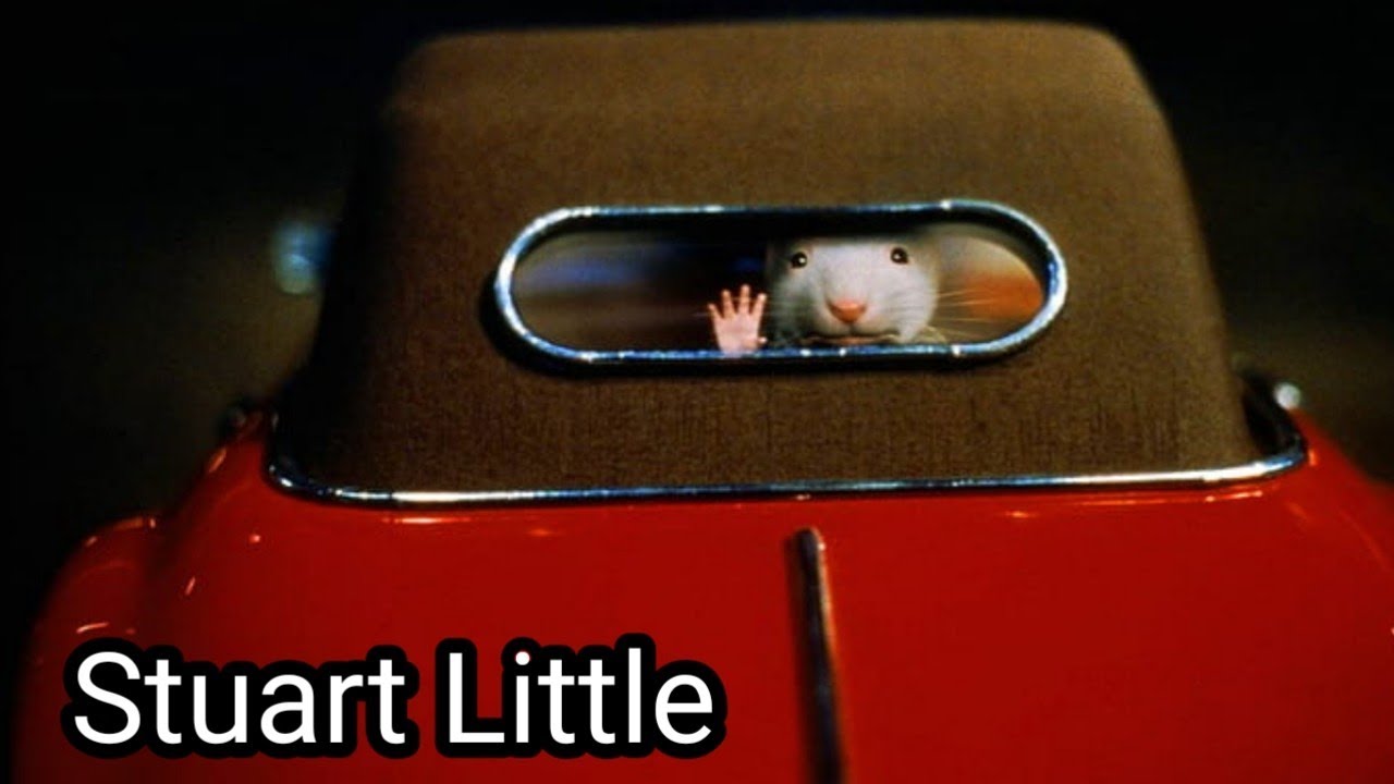 Stuart Little Movie Explaine | Movie Explain In Hindi - YouTube