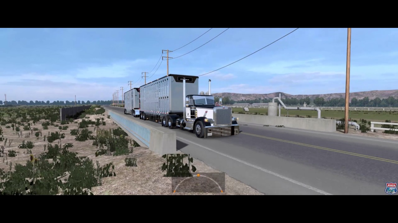 Trailer Livestock Double - YouTube