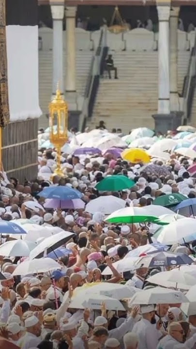 Recitation of the Holy Quran | Islamic Videos | Telawat Quran Pak ...