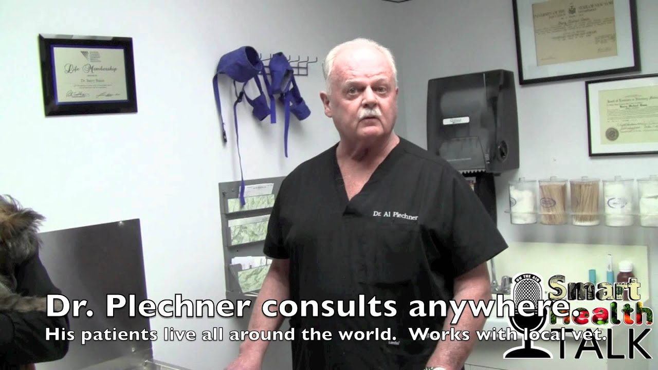 Pt.2: Dr. Al Plechner Veterinarian Talks on Vaccines-Allergies ...