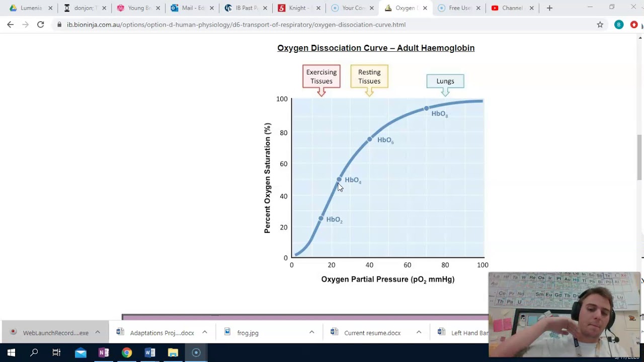 IB Bio D 6 Lecture Gas Exchange Part 1 - YouTube