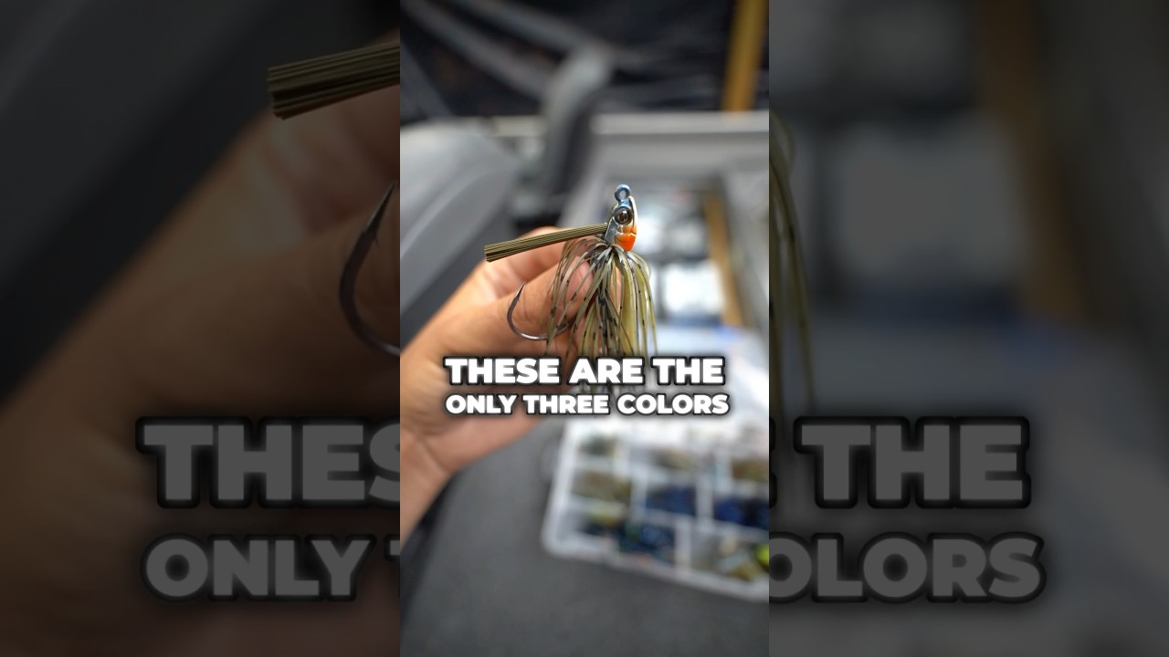 The ONLY 3 Bait Colors You’ll Ever Need for Bass Fishing 🎣🔥 #fishing ...