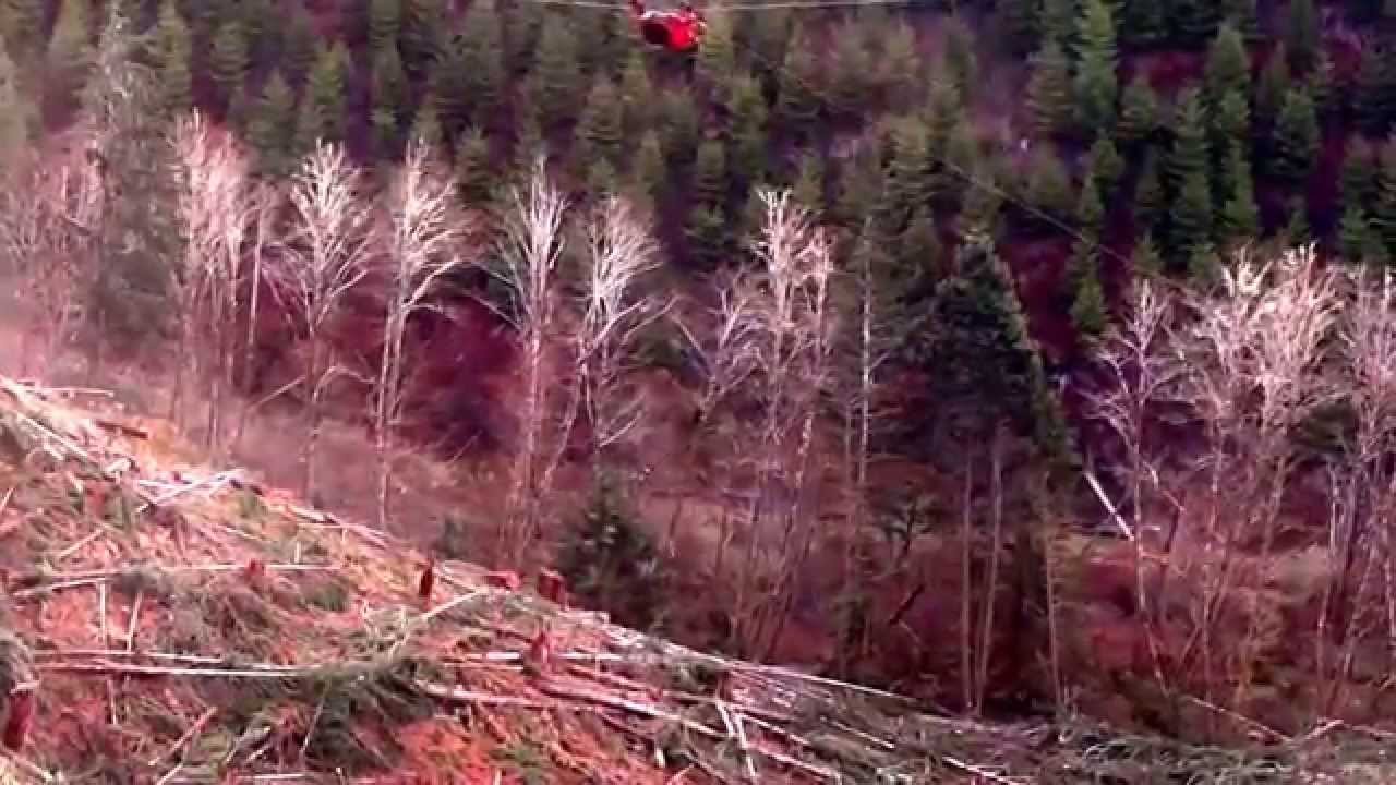 Cable Logging Operation - YouTube