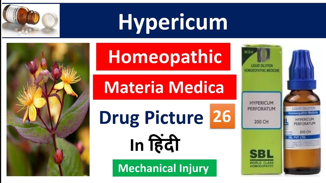 Hypericum Perforatum Homeopathic Medicine in Hindi | Drug Picture ...