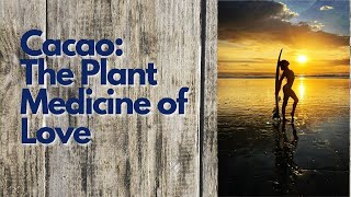 Resources | Casey Mauro