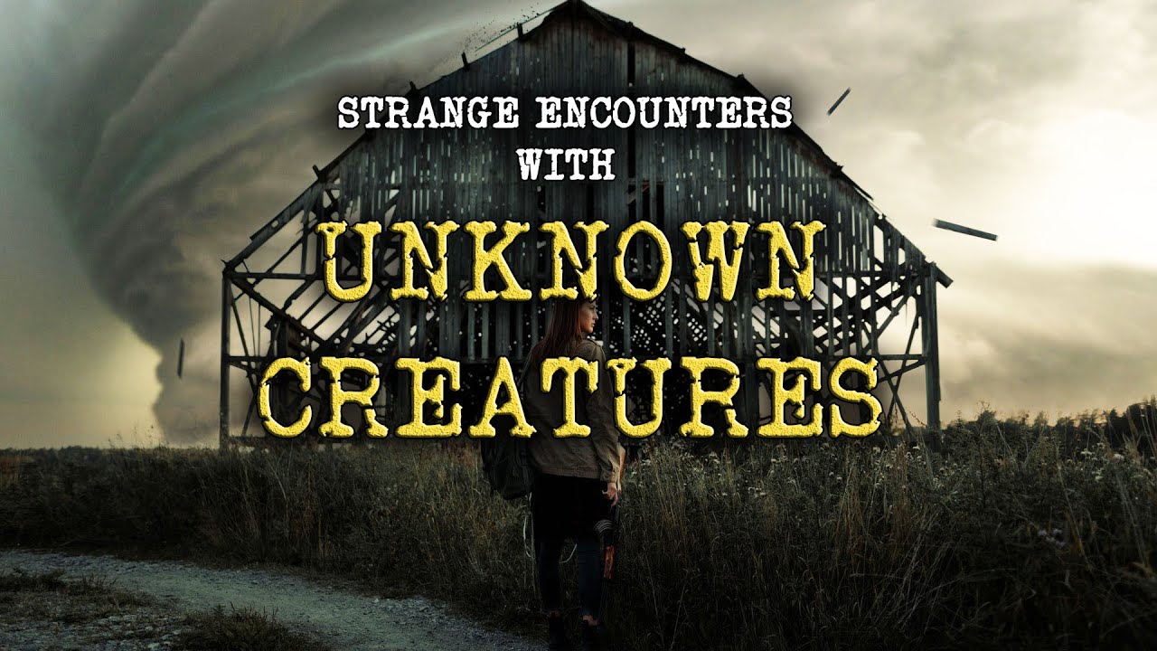HORRIFYING and STRANGE Encounters with UNKNOWN CRYPTIDS - YouTube
