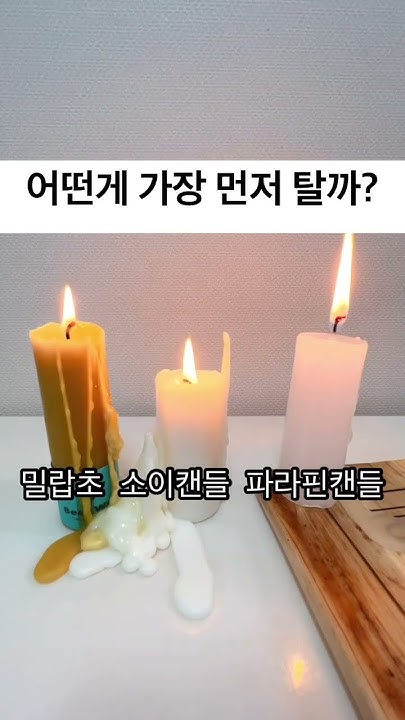 파라핀 캔들에대한 오해와 진실 모두 안전한 캔들해요 Shorts 캔들 양초 향초 캔들공방 Youtube