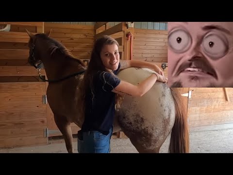 Forsen reacts to HOW TO PLAY WITH A HORSE + Elden Ring from the NPC's ...