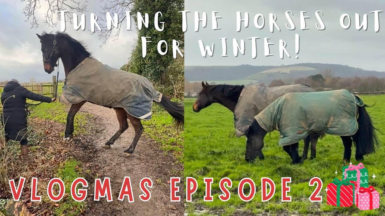 Turning the horses out for winter! THEY WERE FRESH!Vlogmas episode 2 ...