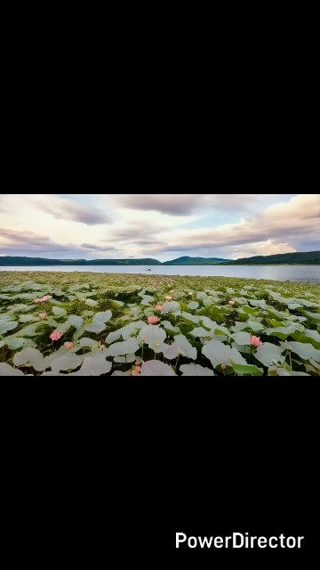 ONE WORLD, ONE LIGHT #worldpeace - YouTube