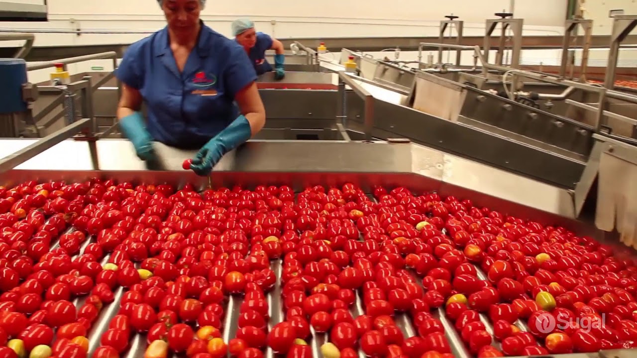 Sugal Group Vídeo Corporativo - YouTube