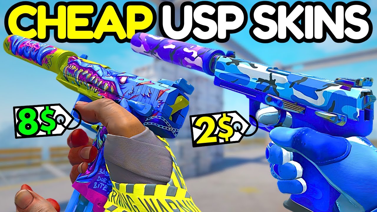 BEST Budget USP Skins in CS2! (CHEAP USP-S SKINS 2024) - YouTube