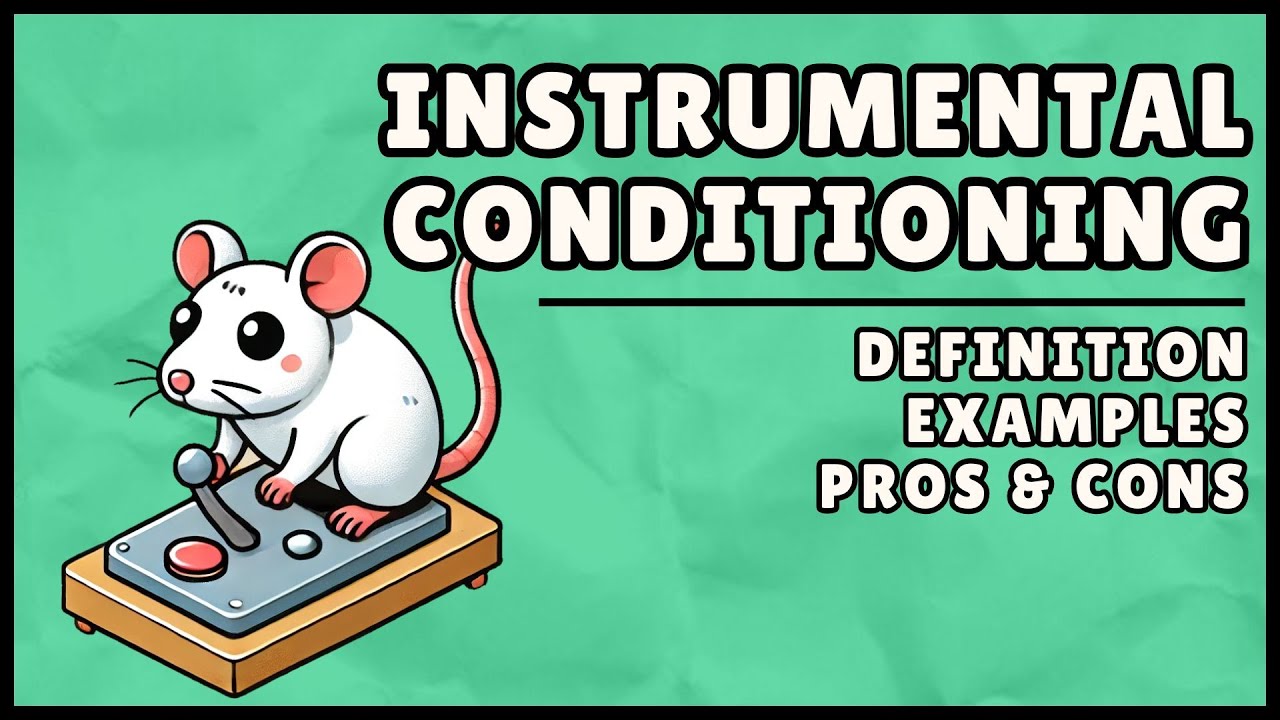 Instrumental Conditioning: Definition & Examples (5 Minute Explanation ...