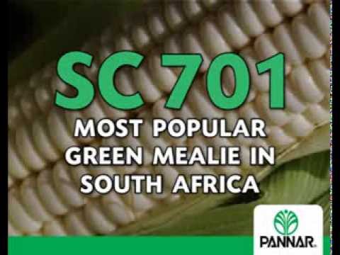 Pannar SC 701 - YouTube