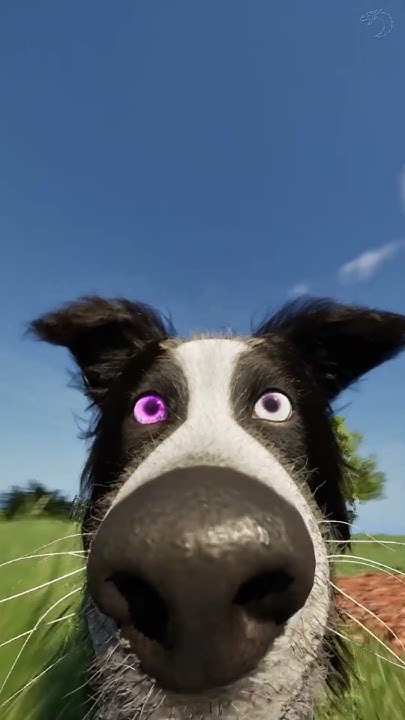 Hounded 🐶 a new upcoming dog adventure game for PC and consoles 🎮 - YouTube