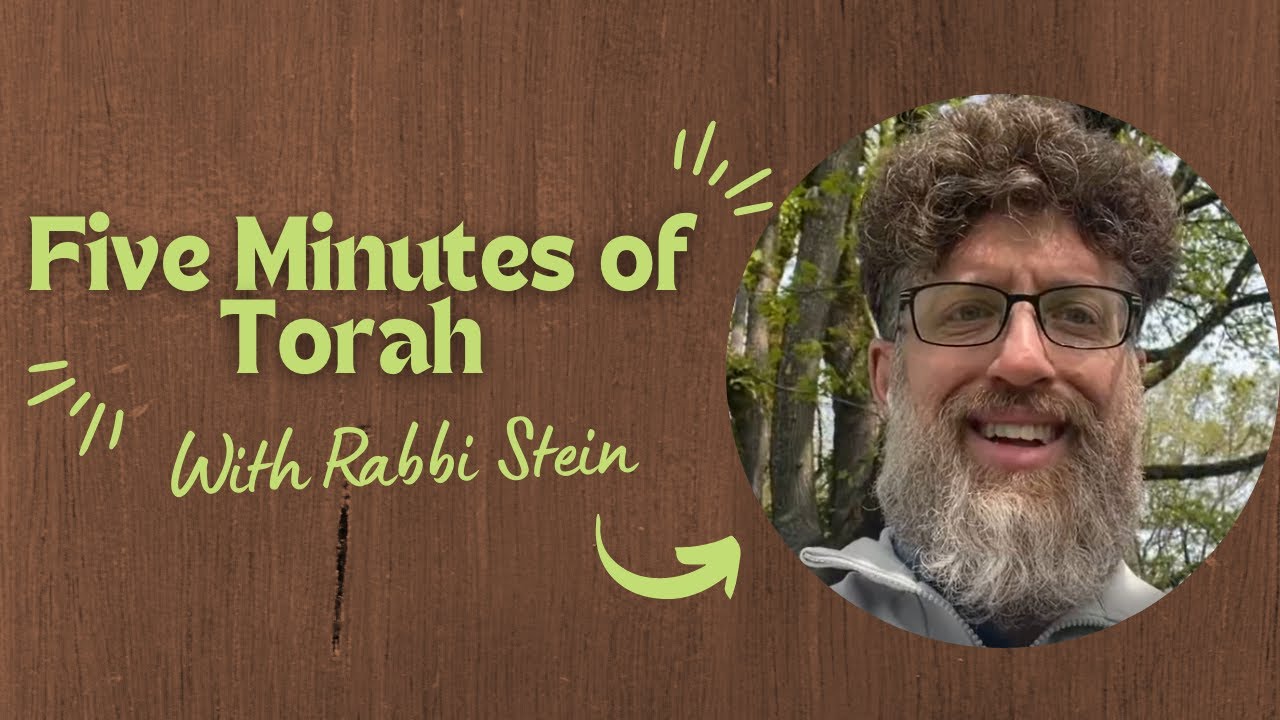Five Minutes of Torah with Rabbi Stein - YouTube