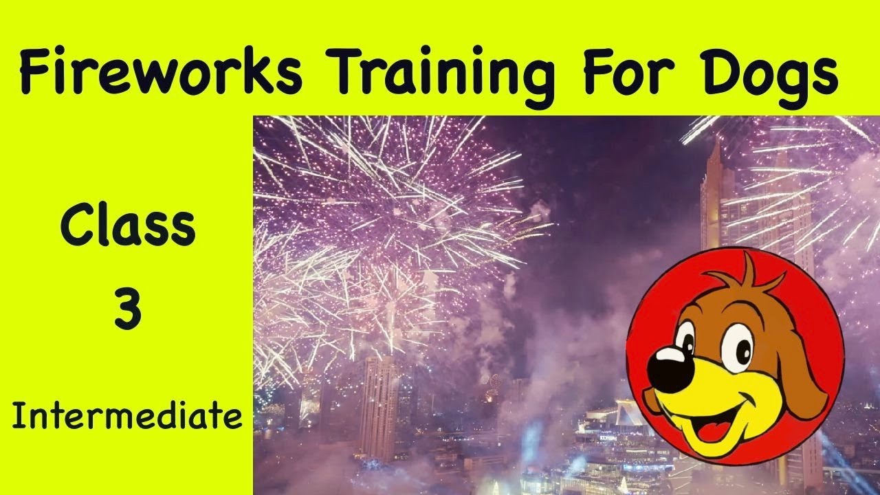 Fireworks Sounds For Dog & Puppy Training 💖 Relaxing Desensitisation ...