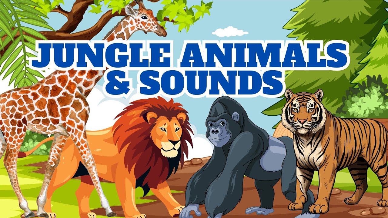 Explore Jungle Animals and Their Amazing Sounds | Fun Learning for Kids ...