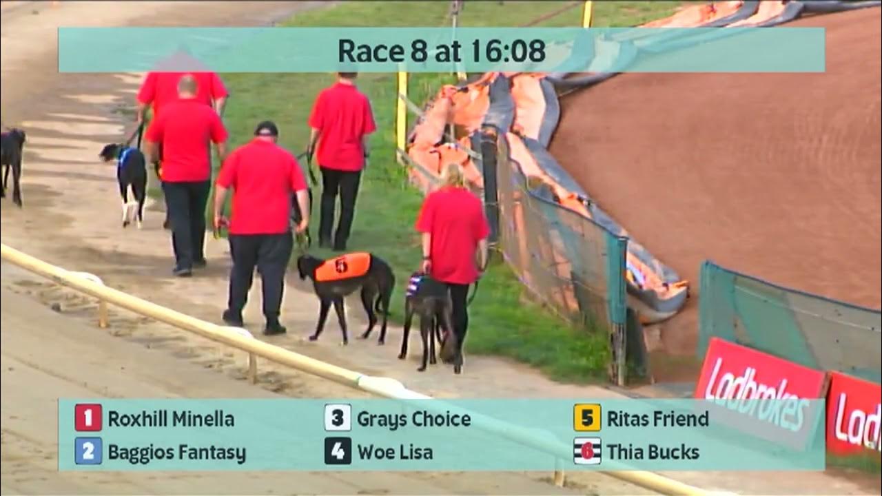 Monmore Greyhounds Races on 26th August 2022 - YouTube Monmore Greyhounds Races on 26th August 2022 - YouTube