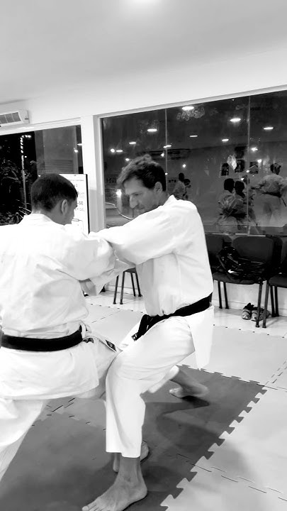 Bunkai Nijushiho - Osae-Uke - Professor Paulo Pestana #jka #karate #shotokan - YouTube