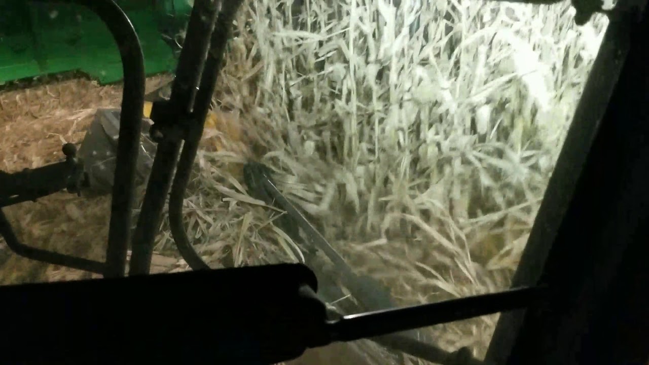 16 Row Geringhoff corn head on CLAAS LEXION 595R! 2017 Harvest - YouTube