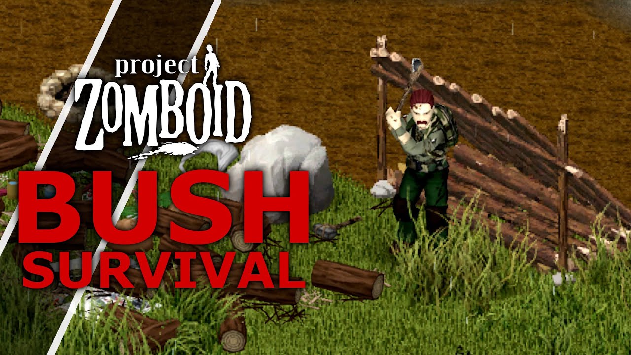 Improving My Bush Camp In Project Zomboid Build 42 | Stream 4 🔴 - YouTube