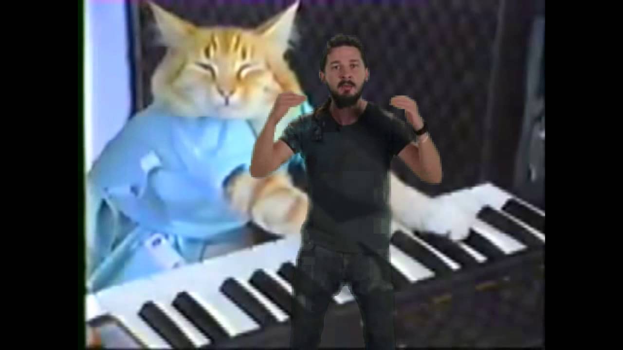 Shia LaBeouf with Cat Playing Piano - YouTube