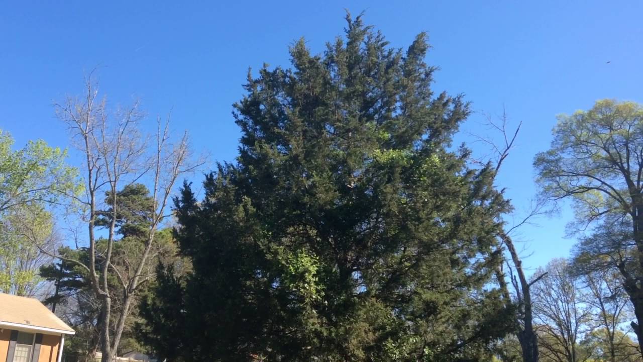 August 6, 2016 - YouTube