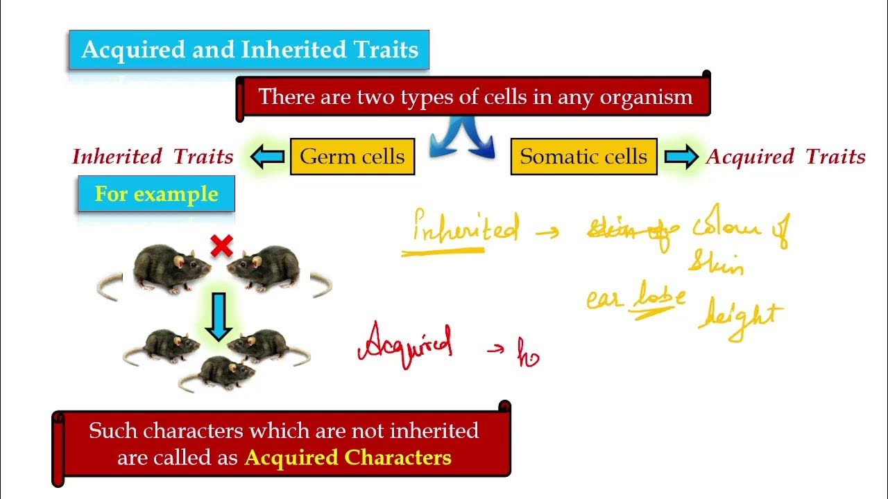 Class 10th | Heredity and Genetics | Acquired and inherited traits ...